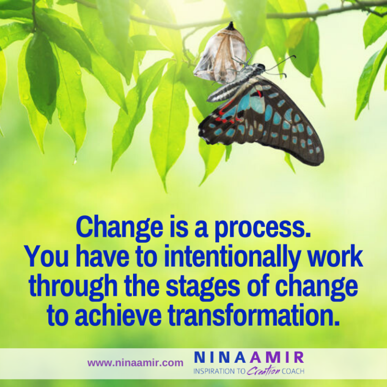 How to Understand the Change Process - Nina Amir